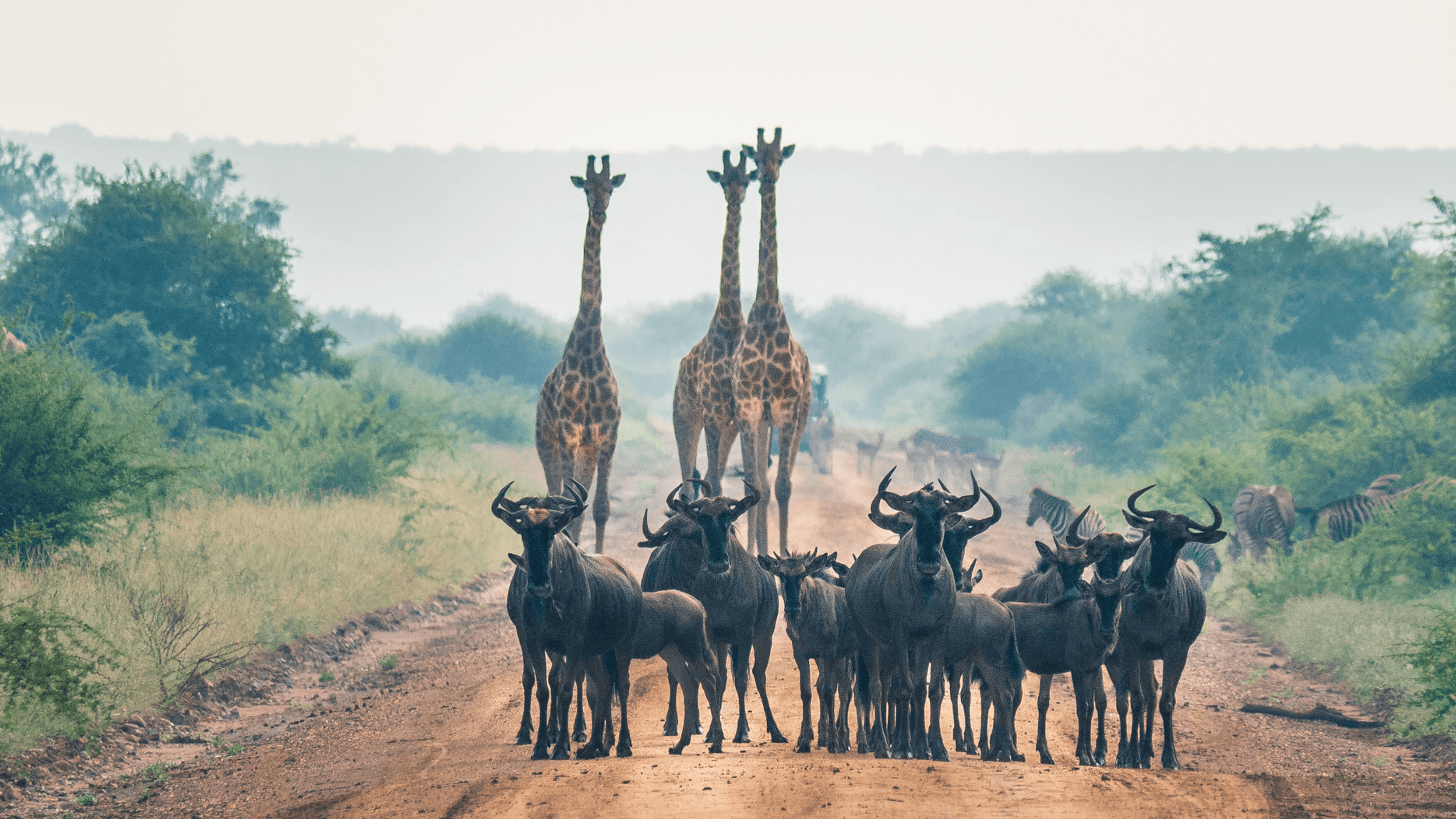 AI for Good Specialization - DeepLearning.AI