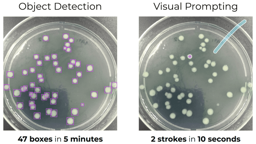"Visual Prompting” Builds Vision Models in Seconds